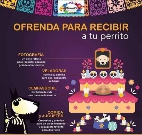 Día de Muertos Cuándo llegan las almas de las mascotas y qué poner en