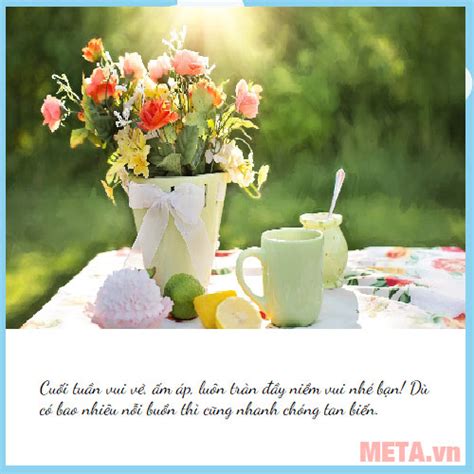 Stt lời chúc cuối tuần hay vui vẻ hài hước nhất ngày chủ nhật kèm ảnh