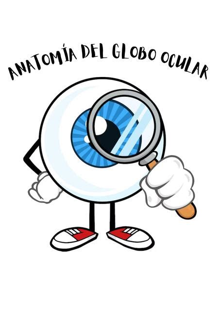 Anatomía del globo ocular Geraldine Figueroa muñoz uDocz