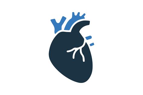 Cardiology Heart Human Icon Grafik Von Dhimubs124s Creative Fabrica