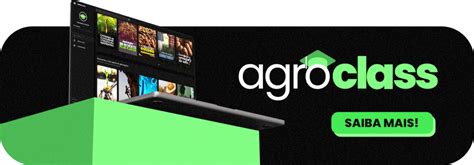 Fungicidas agrícolas 8 critérios para classificação Agroadvance