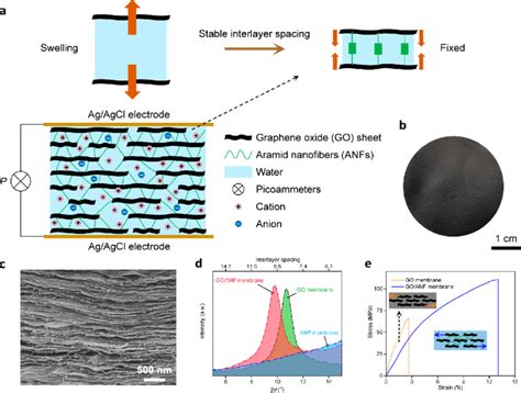Nanofluidic Ion Transport System Fabricating With Graphene Oxide Aramid