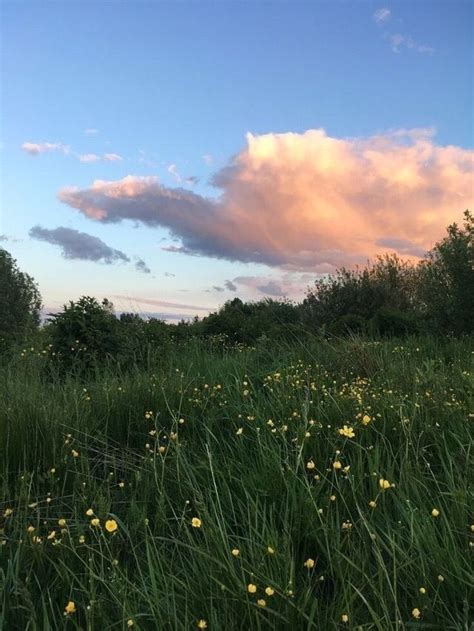 Sky And Meadow Aesthetics Nature Photography Sky Aesthetic Pretty Sky
