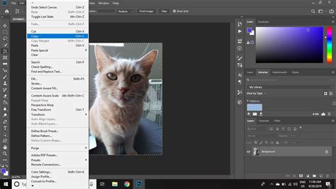 How To Crop In Photoshop