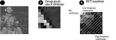 jpeg joint photographic experts group