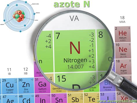 Cycle de l azote définition et explications