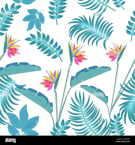 Vector Tropical Sin Costuras Con Hojas De Palmera Y Flores Fondo De