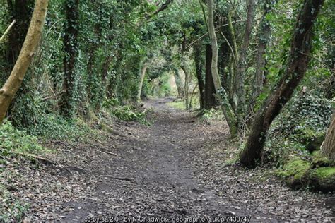 Wooded Byway N Chadwick Geograph Britain And Ireland