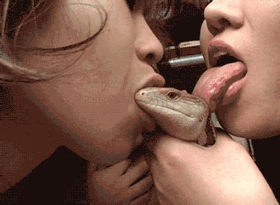 Awkwardjapaneseporngifs Tumblr Tumbex