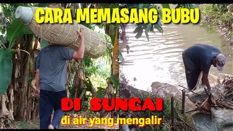 CARA MEMASANG PERANGKAP IKAN BUBU DI SUNGAI DI AIR MENGALIR YouTube