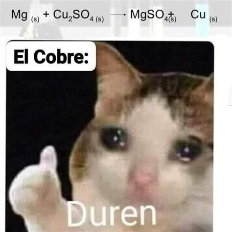 la ciencia dice Reacciones redox son un tipo de Reacción Química
