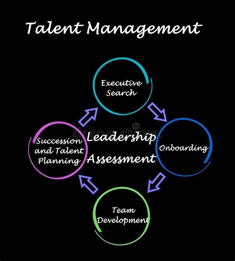 Components Of Talent Management Stock Illustration Illustration Of