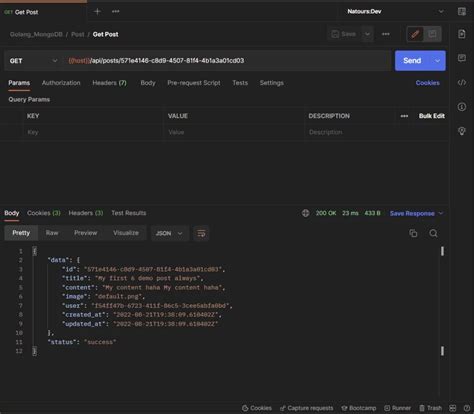 build a restful crud api with golang 2024
