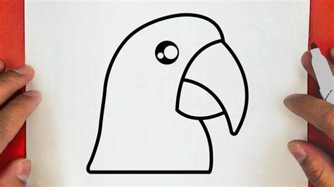 How To Draw A Cute Macaw Step By Step Draw Cute Things Videos How