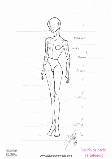 Cómo dibujar figurín de moda 3 4 paso a paso Canon proporción 8