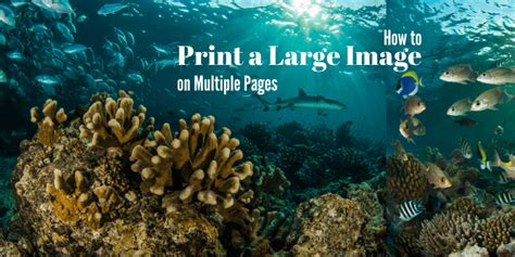 How To Print A Large Image On Multiple Pages In Photoshop Steps