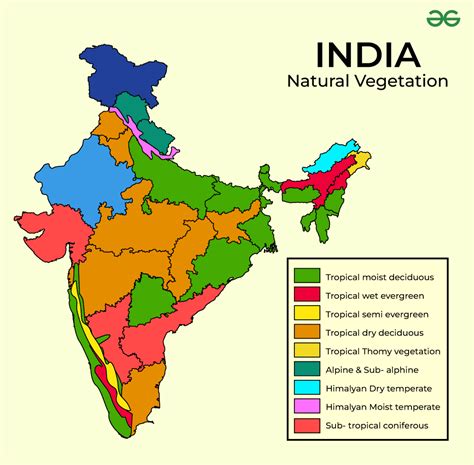 Natural Vegetation Of India GeeksforGeeks