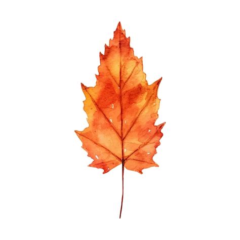 Hojas de otoño de acuarela Vector Premium