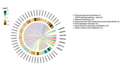 github fengwangphysicsmatplotlib chord diagram plot c
