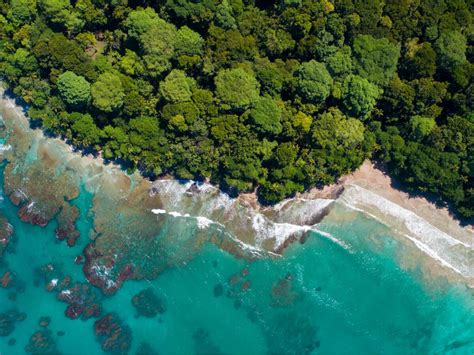 Consciente Hamburguesa Lógico camping puerto viejo limon Trasplante