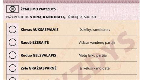 Na 100 dni przed wyborami prezydenckimi VRK publikuje wzór karty do