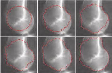 example of active contour segmentation as the curve evolves in time c download scientific
