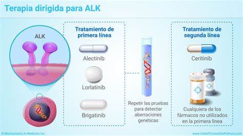 Presentaci N De Diapositivas Terapia Dirigida En El C Ncer De Pulm N