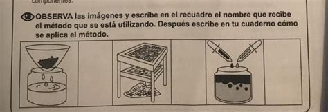 Observa Las Im Genes Y Escribe En El Recuadro El Nombre Q Recibe El