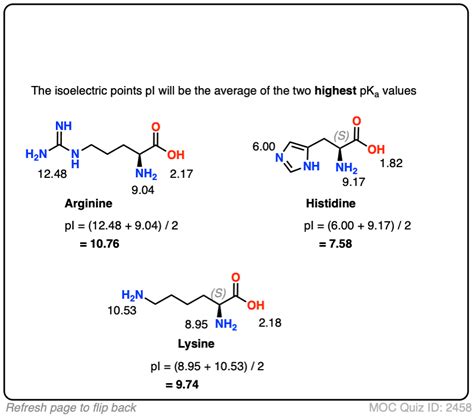 Isoelectric Points Of Amino Acids And How To Calculate Them Master