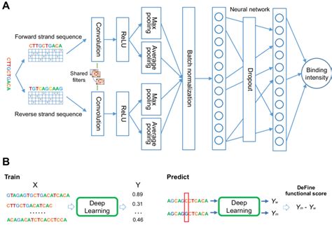 the deep learning method for assessing the functional impact of download scientific diagram
