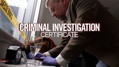 Criminal Investigation Certificate Youtube