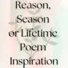 11 Reason Season A Lifetime Poem Inspiration Aestheticpoems