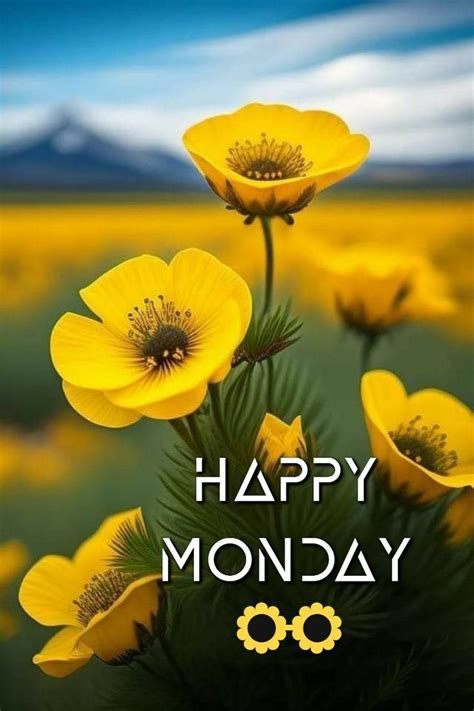 Yellow Flowers With The Words Happy Monday On It