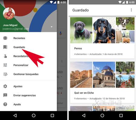 Cómo guardar y organizar tus fotos favoritas con Google Imágenes
