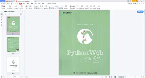 python web开发实战 董伟明 pdf 下载高清扫描版 多多软件站
