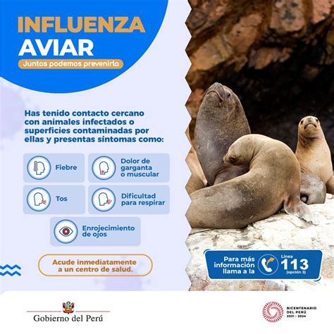 INS Perú on Twitter RT Minsa Peru Ten en cuenta estos signos de