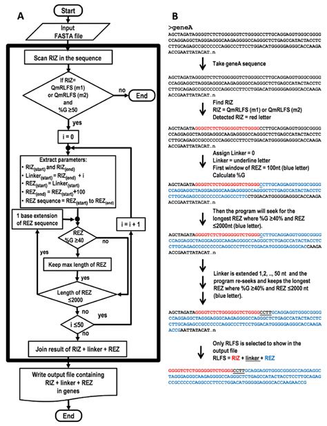algorithm outlining rlfs prediction a a flowchart of qmrlfs finder download scientific