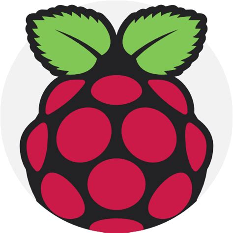 Free Icon Raspberry Pi