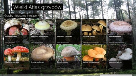 Wielki Atlas grzybów Microsoft Store