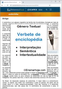 Arquivos Verbete de Enciclopédia Ensinar Hoje