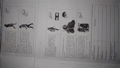 Homo Erectus Hombre Erguido Fuego