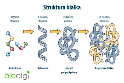 Bia Ko Bioalgi