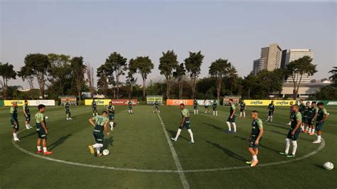 Botafogo x Palmeiras informações estatísticas e curiosidades Palmeiras