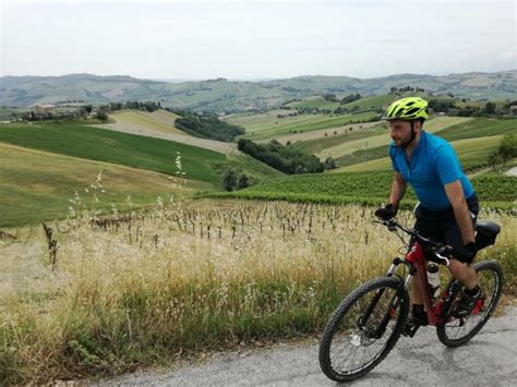 Ripatransone Donna Cade In Mountain Bike E Finisce In Una Scarpata