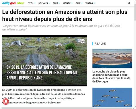 La déforestation en Amazonie atteint son plus haut niveau depuis plus