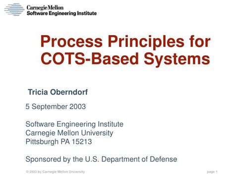ppt process principles for cots based systems powerpoint presentation id 3970663