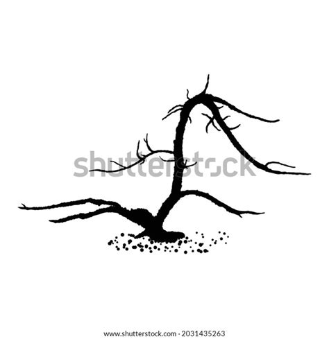 Naked Tree Silhouette Hand Drawn Isolated Stock Vector Royalty Free