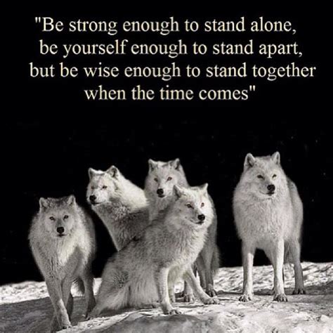 Be Strong Enough To Stand Alone Smart Enough To Know When Flickr