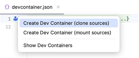 Connect To Dev Container CLion Documentation