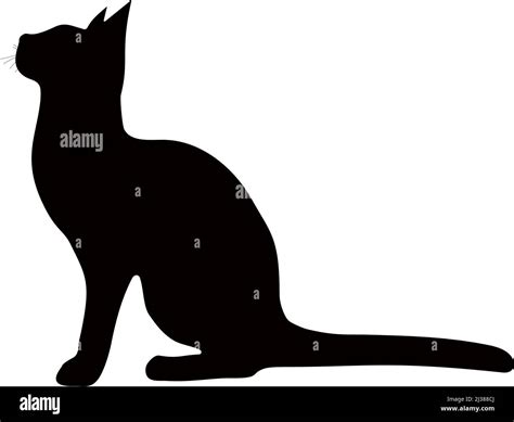 Black Silhouette Of A Cat On A White Background Vector Image Stock
